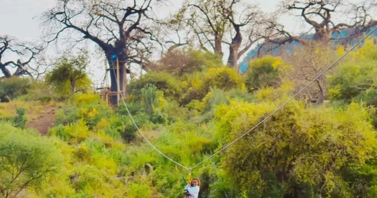MANYARA GÖLÜ ZIPLINE | GetYourGuide