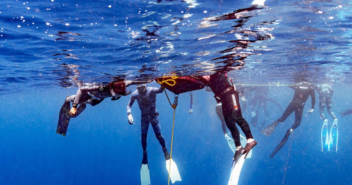 Panglao Bohol: One-Day Introduction to Freediving | GetYourGuide