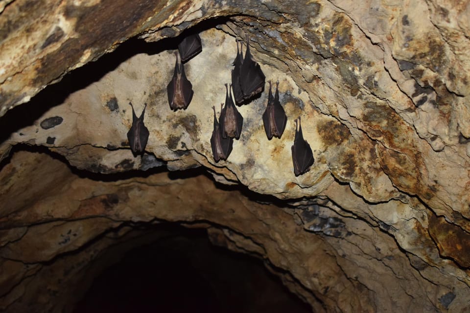 Speleology in the Arouca Geopark´s Tungsten Mines | GetYourGuide
