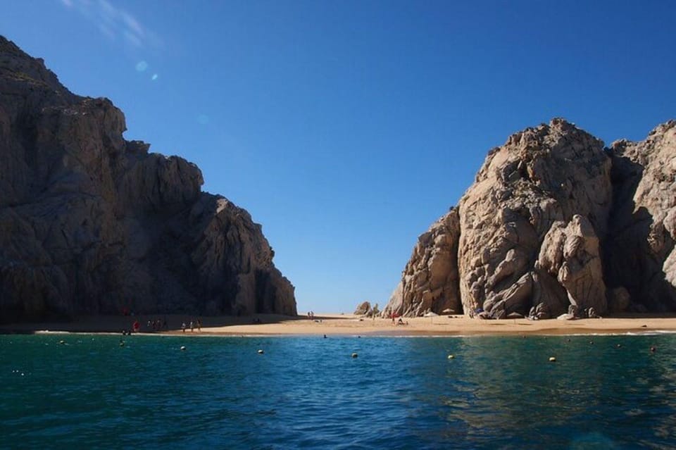 Cabo San Lucas Barco con fondo de cristal | GetYourGuide