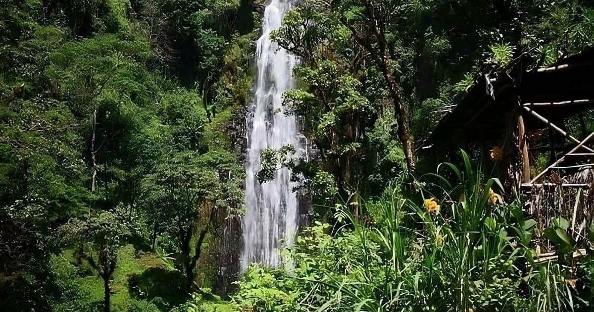 Ndoro Waterfall Day Trip with Hiking Stick | GetYourGuide
