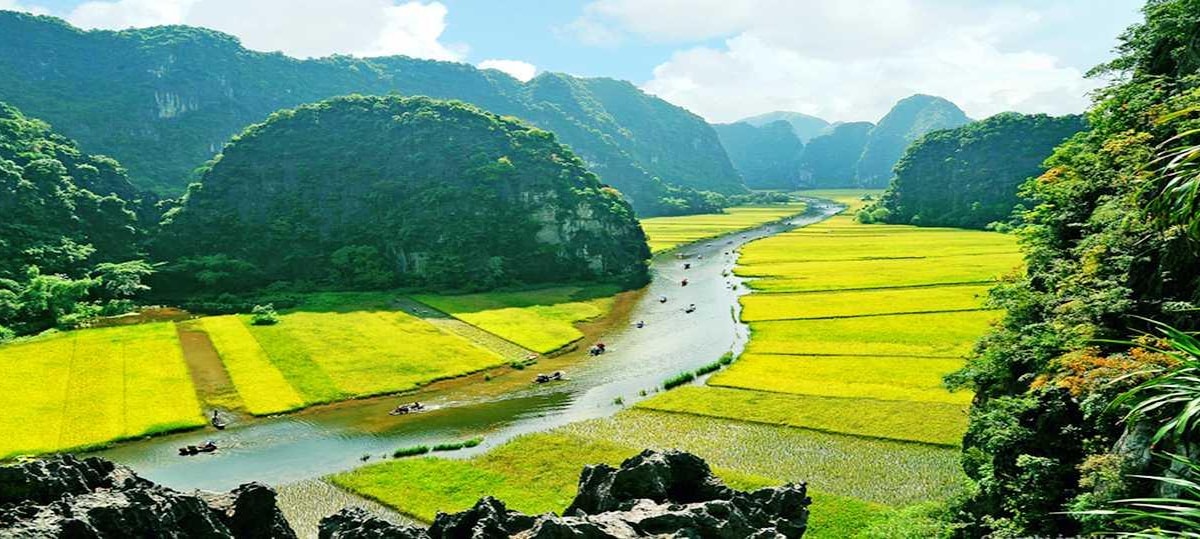 Hanoi Ninh Binh 2 Days Tour From Halong Port Shore Excursion | GetYourGuide