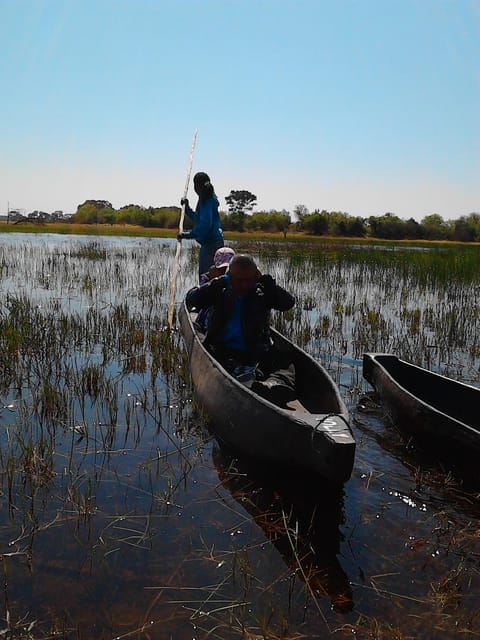 okavango delta mokoro tagesausflug | GetYourGuide