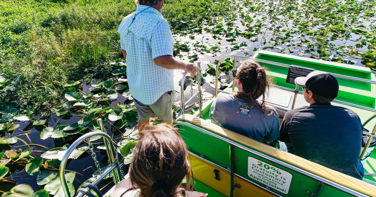 Orlando: Florida Everglades Wildlife Airboat Tour | GetYourGuide