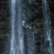 La Fortuna: Canopy 12 Cables, Rappel & Tarzan Swing Combo - 2026 ...