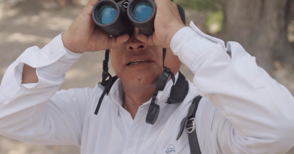 Sian Ka'an: Bird Watching & Mayan Herbal Medicine | GetYourGuide