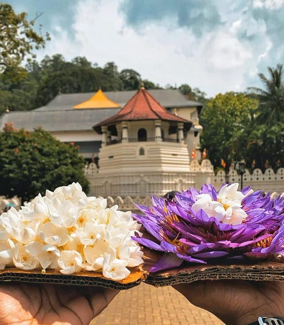 Kandy: Sightseeing Tour by Tuk Tuk Morning or Evening | GetYourGuide