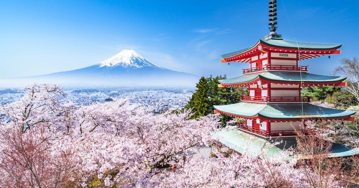 Från Tokyo: Anpassningsbar sightseeingtur till berget Fuji | GetYourGuide