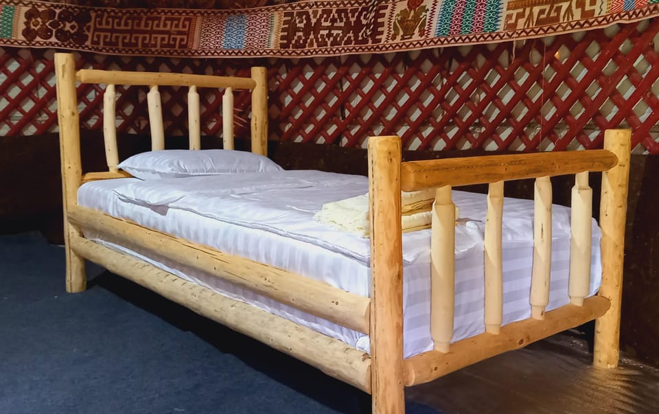 From Bukhara: 3-Day Yurt Stay, Hiking & Lake Aydarkul | GetYourGuide