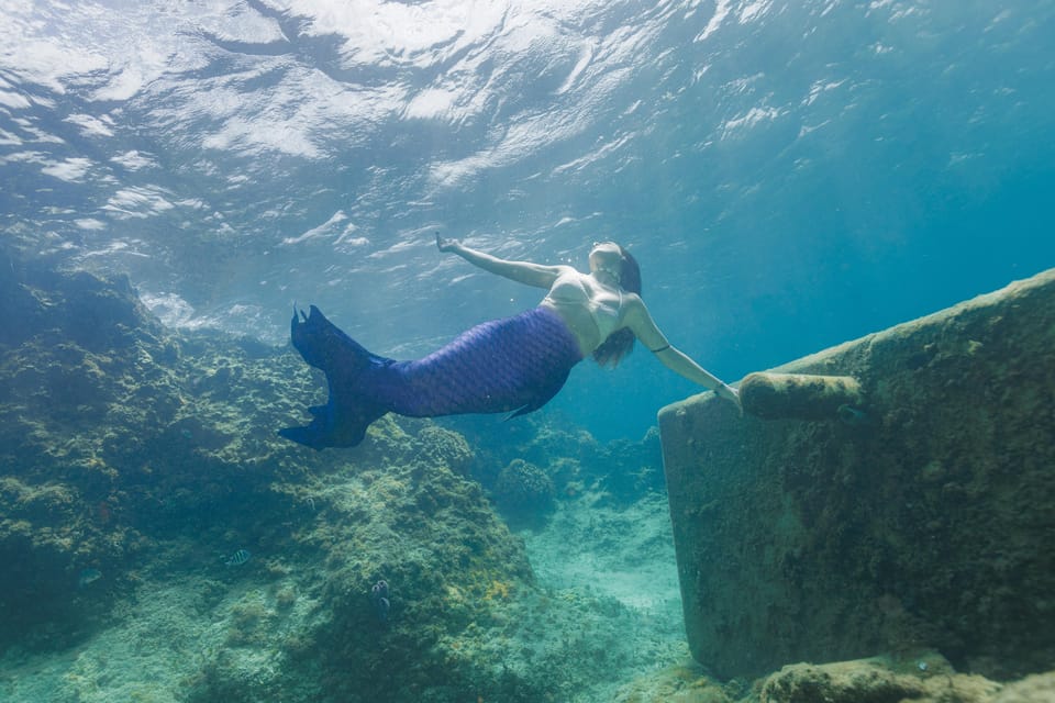 Oceano Adventure's Mermaid Experience | GetYourGuide