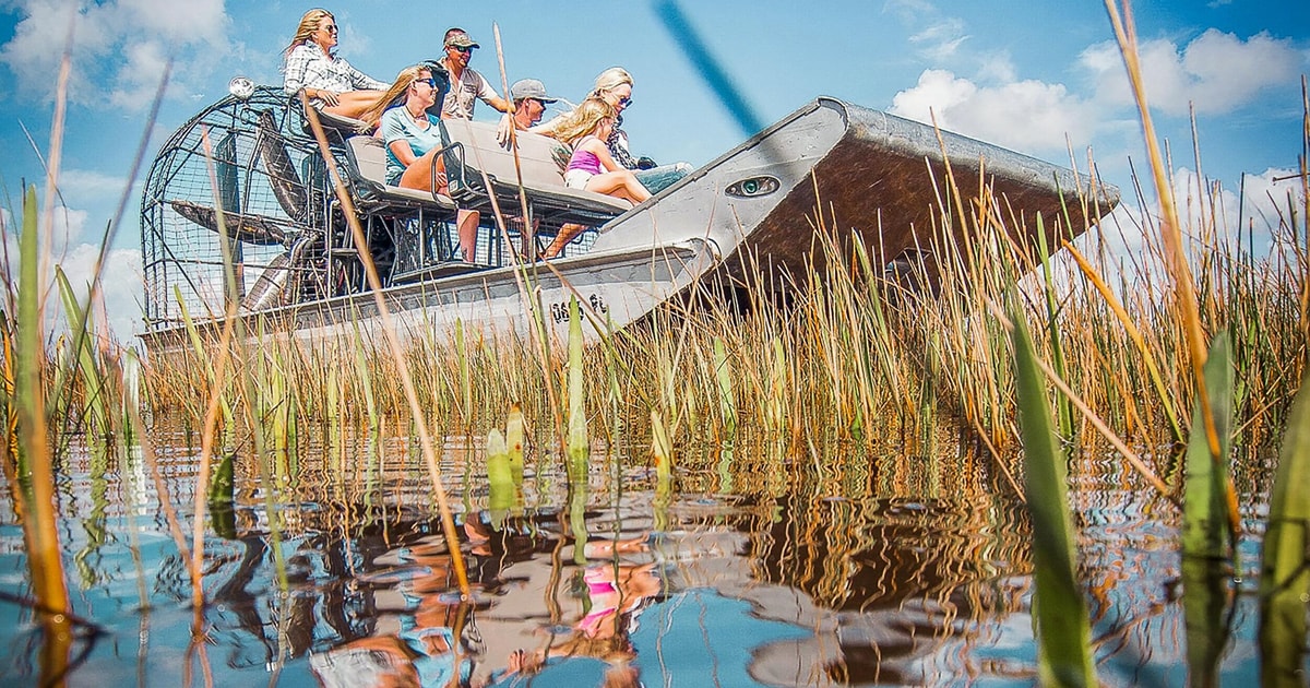 Miami: Everglades National Park Airboat Tour & Wildlife Show | GetYourGuide