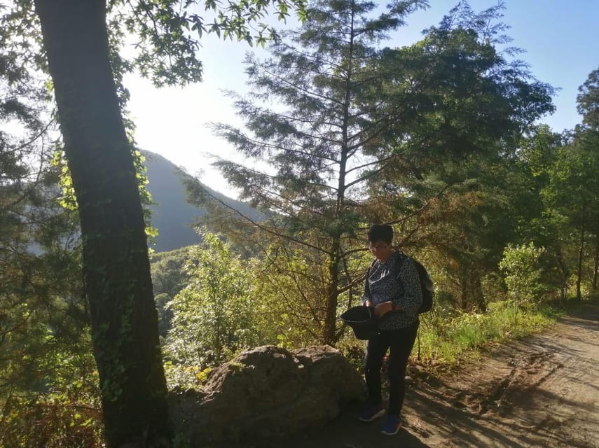 Monterrey: Chipinque Ecological Park Guided Tour | GetYourGuide