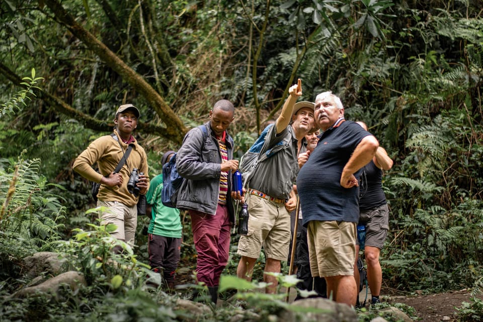 Arusha: Meru Forest Reserve waterfall hiking and camping | GetYourGuide