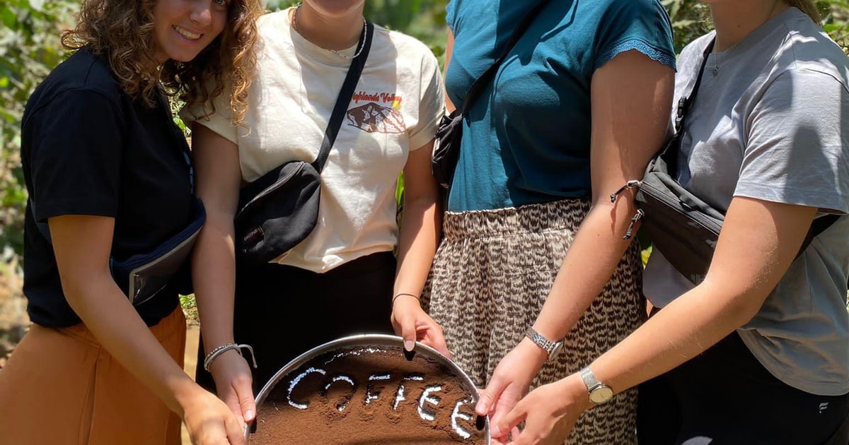 Arusha: Coffee Farm Tour with Local Cuisine Tasting | GetYourGuide