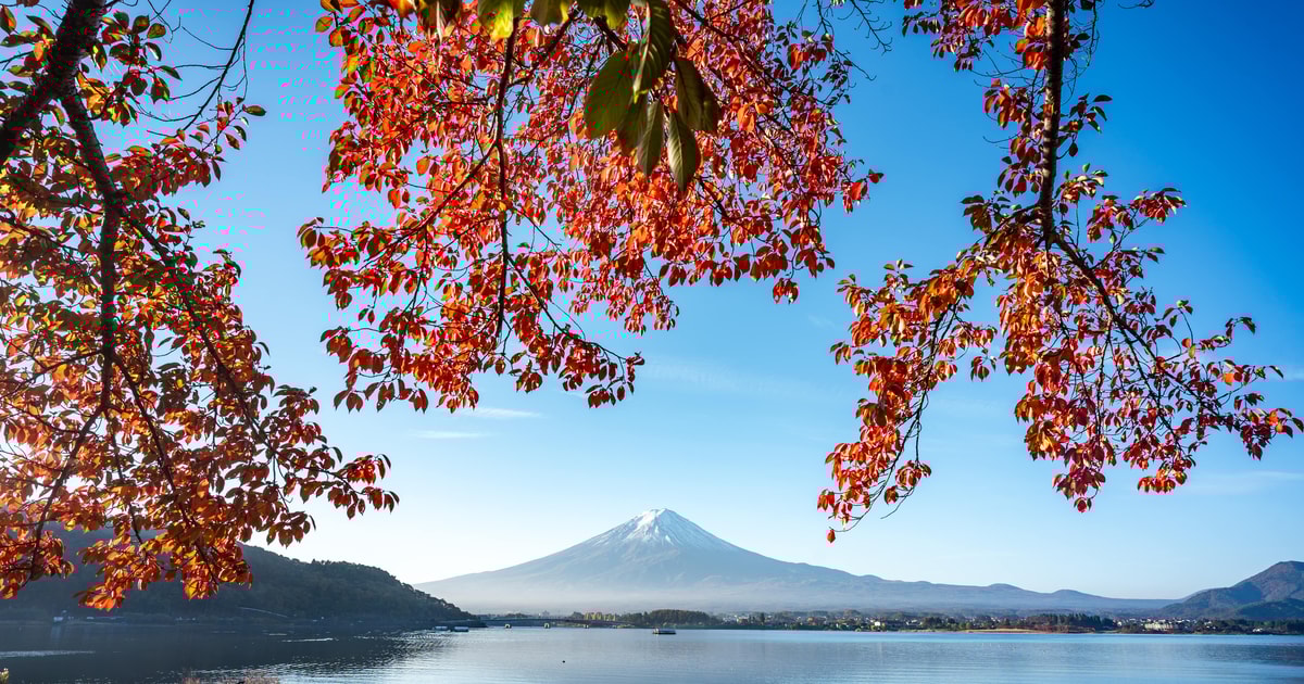 De Tóquio: Viagem de 1 dia com visita privada ao Monte Fuji ou Hakone | GetYourGuide