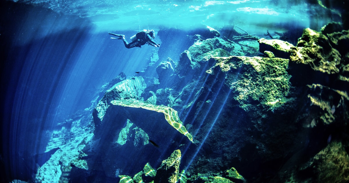 Cenotes & Cavern Diving Tour | GetYourGuide