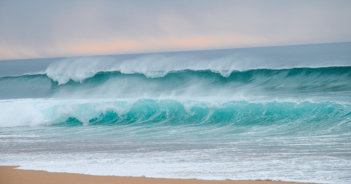 Da Evora: Passeggiata a cavallo sulla spiaggia di comporta | GetYourGuide
