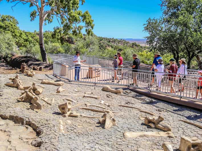 Winton: Australian Age of Dinosaurs Museum Half Day Tour | GetYourGuide