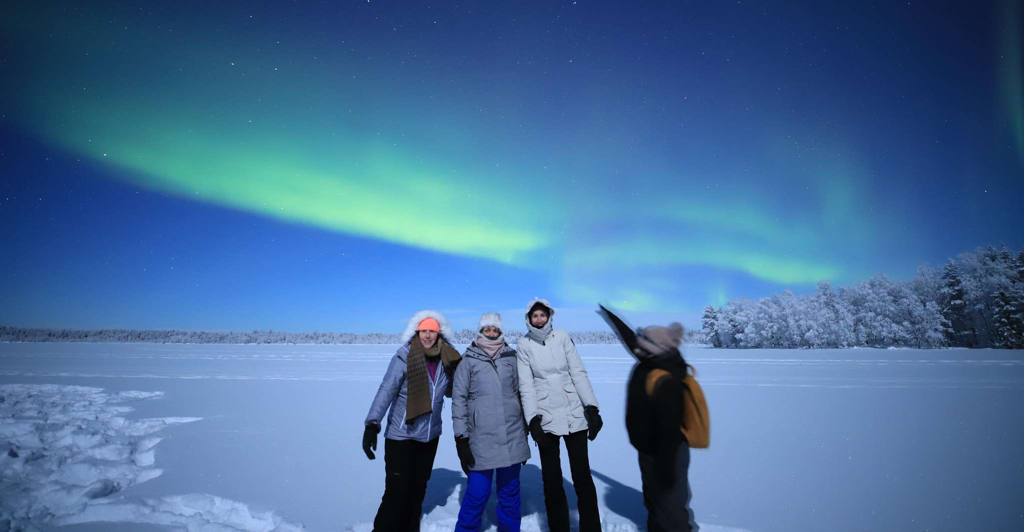 Levi, Aurora Borealis Bus & Snowshoe Tour with Hot Drink | Guided Tour ...