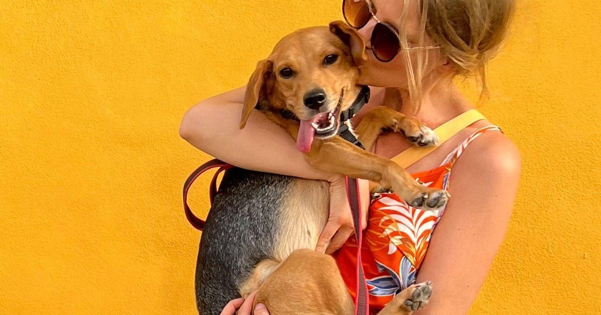 Tour a pie: Historia de Belém con Anne y su perra Lilly (Lisboa ...