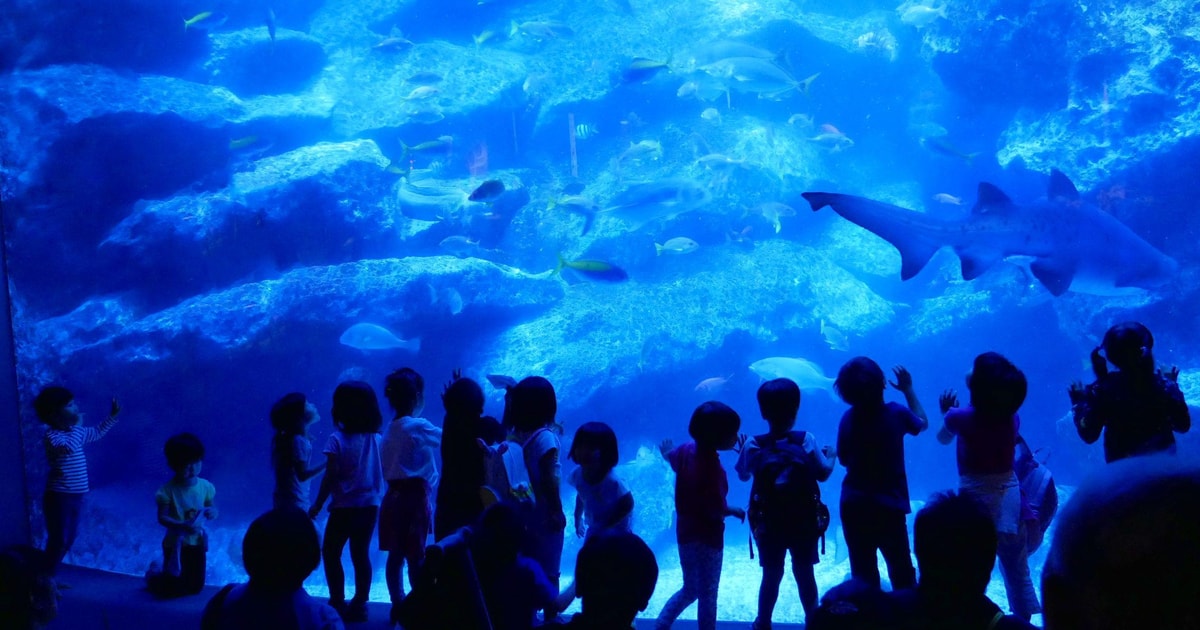 Ticket de entrada al Acuario de Sumida | Tokio | GetYourGuide