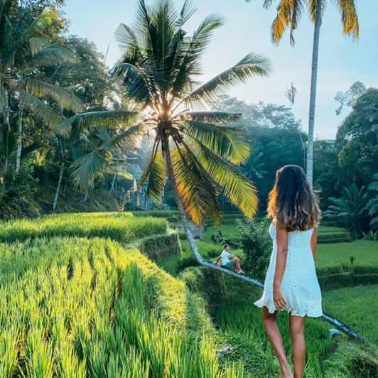 Bali: Ubud Monkey Forest, Rice Terraces, Temple, & Waterfall | GetYourGuide