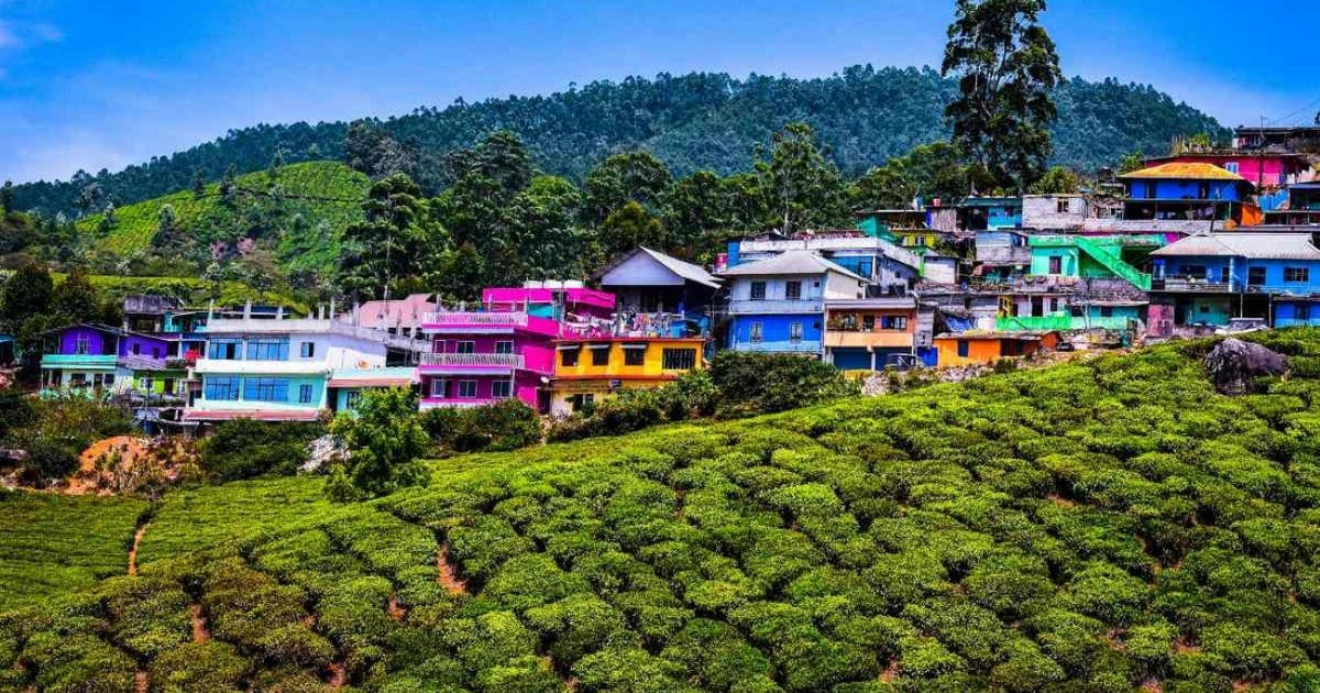 From Kochi:- 03 Days Munnar with Periyar Wildlife Tour | GetYourGuide