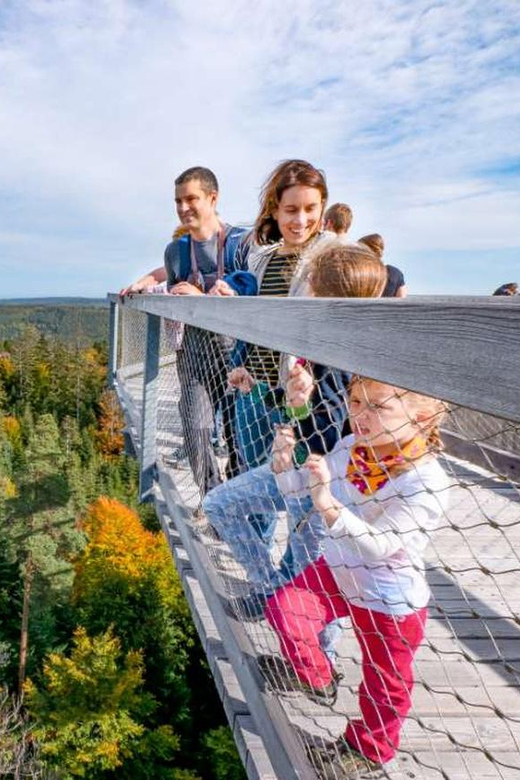 Black Forest: Treetop Walk & Lookout Tower Experience | GetYourGuide