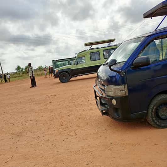 Tsavo: Tsavo East day game game drive | GetYourGuide