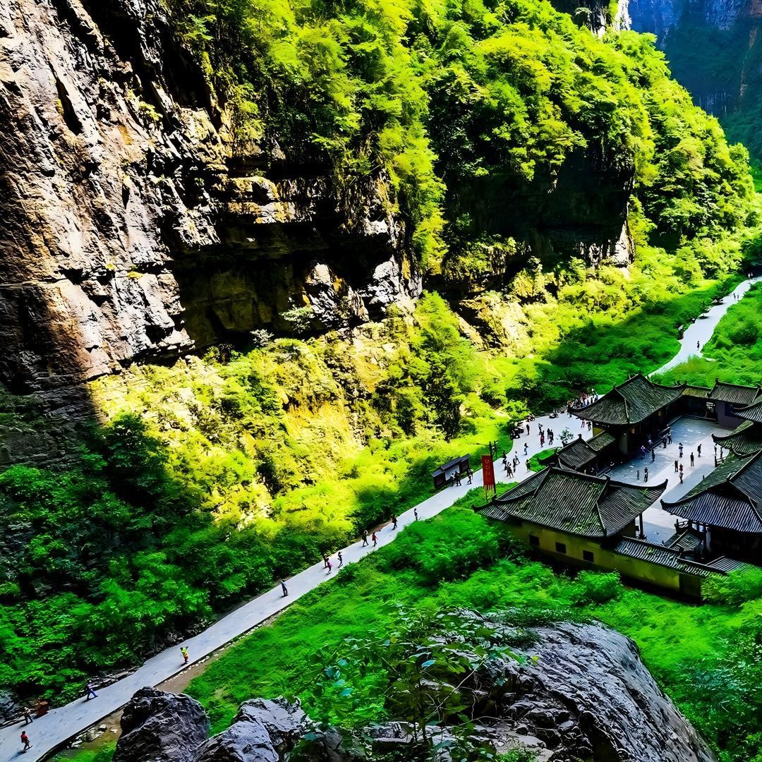 8-Day Guided Tour：Chengdu, Chongqing & Jiuzhaigou | GetYourGuide