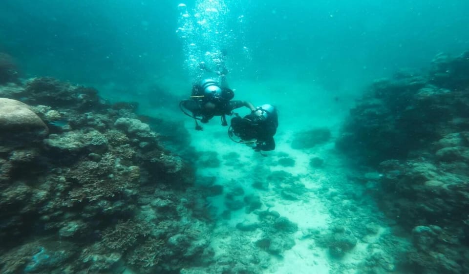 Jeddah Explore Dive: in the Majestic Red Sea | GetYourGuide