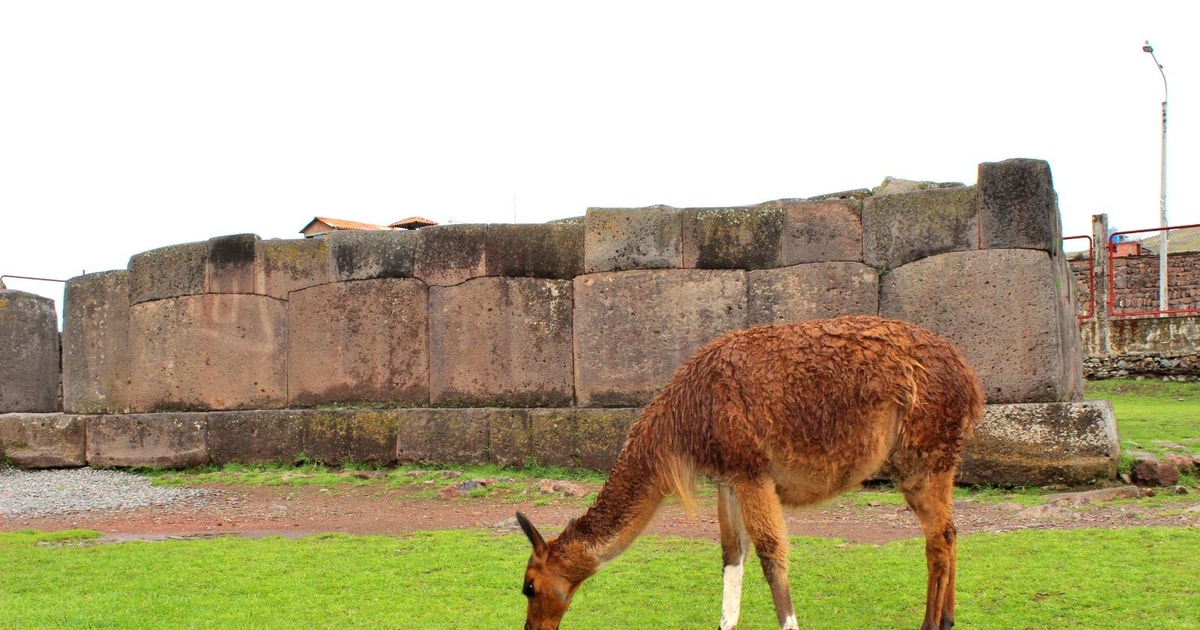 From Puno: Mystical Aymara Route to Aramu Muru with Photos and Videos ...