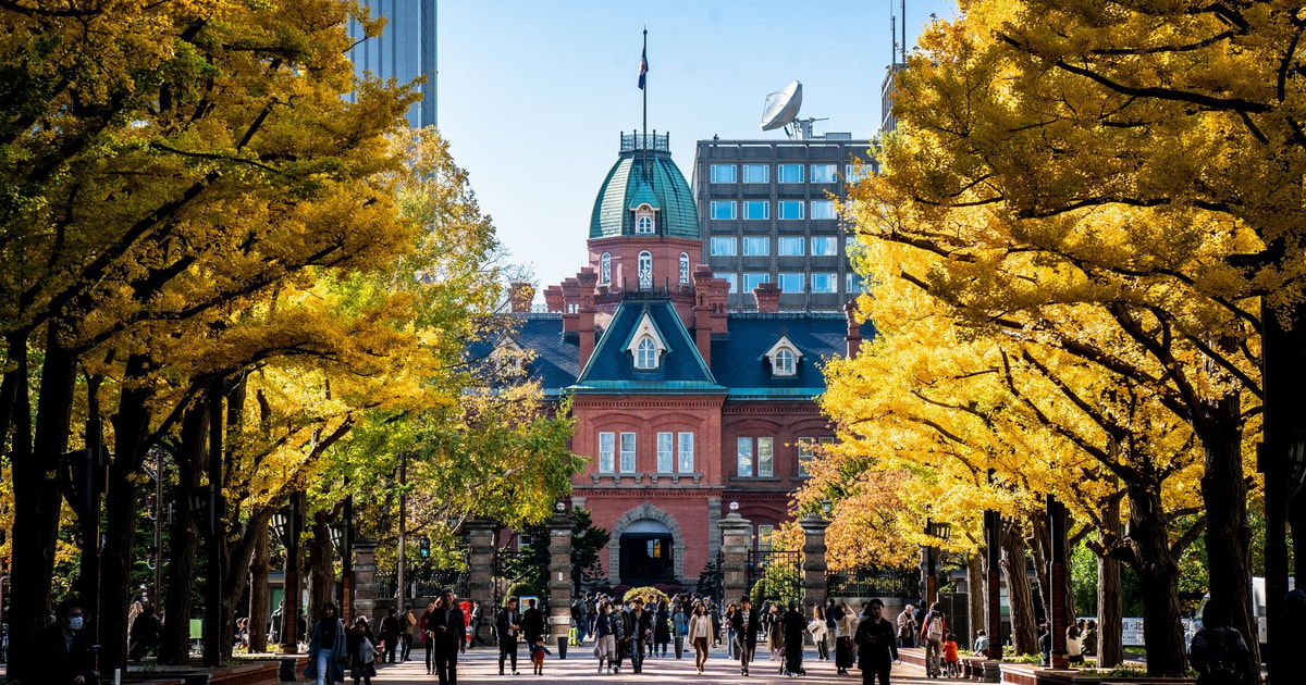 Sapporo Highlights: Art, Nature, and Architecture Tour | GetYourGuide