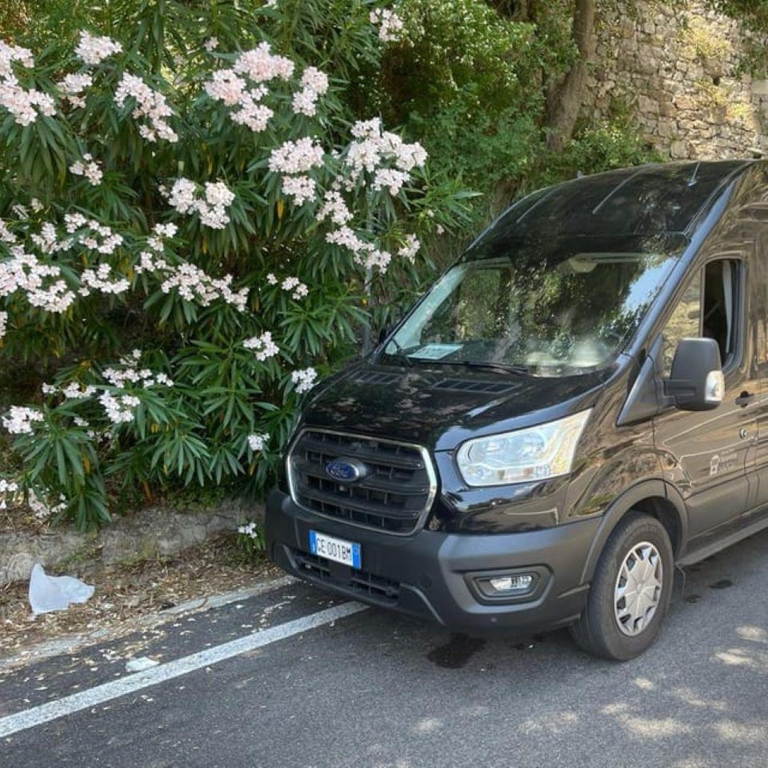 From Naples: Explore Herculaneum Ruins and Vesuvius | GetYourGuide