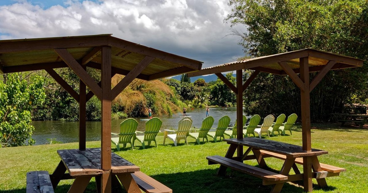 North Shore's best day! River, Turtles, Farm with Lunch | GetYourGuide