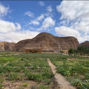 AlUla: Oasis Farm Tour and Traditional Feast with Locals - 2026 ...