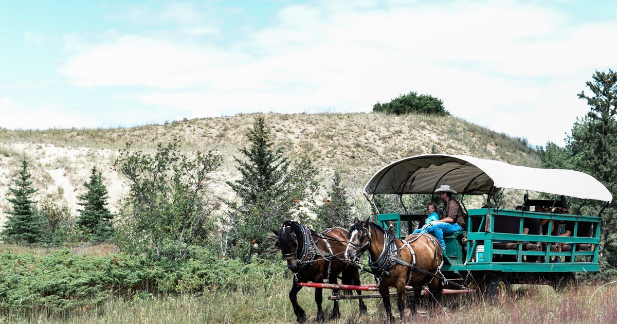 Manitoba: Horse-Drawn Wagon Ride in Spruce Woods Park | GetYourGuide