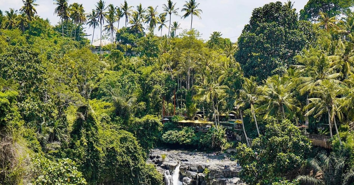 Ubud: Tegallalang Rice Terrace, Waterfall and Tirta Empul | GetYourGuide