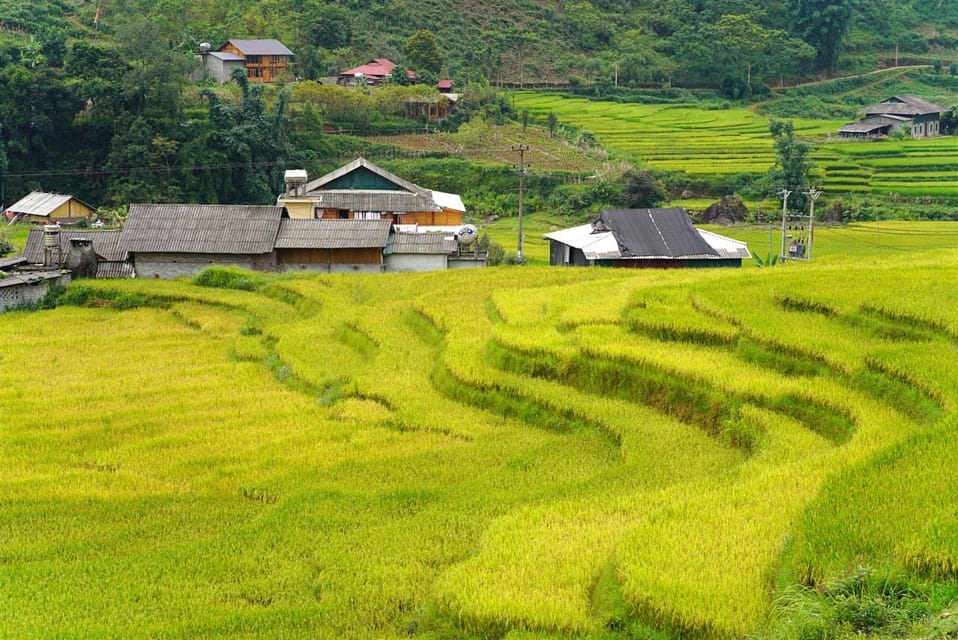 Half Day Sapa Cat Cat Village to Visit H'mong Ethnic People | GetYourGuide