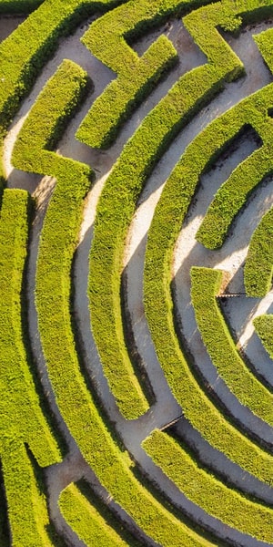 Cyprus: Healing Herbs & Adventure in the Maze | GetYourGuide