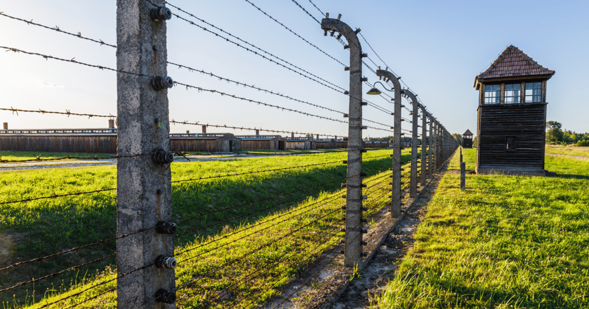 From Krakow: Auschwitz-Birkenau Guided Tour, Several Options | GetYourGuide