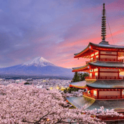From Tokyo: Mount Fuji Private Customizable Tour with Guide - 2026 ...