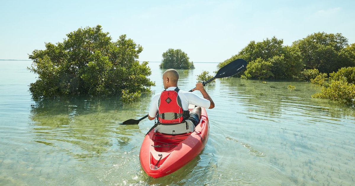 Qatar: Mangroves Kayaking Tour with Purple Island Stop | GetYourGuide