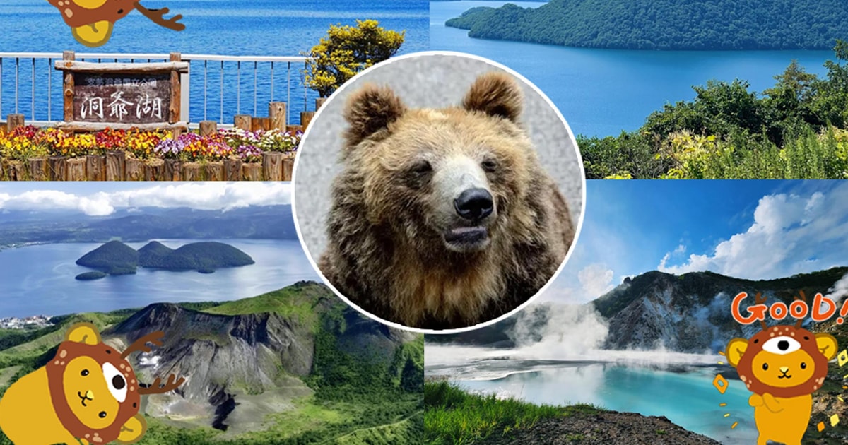 Hokkaido Summer: Lake Toya and Noboribetsu Jigokudani Valley | GetYourGuide