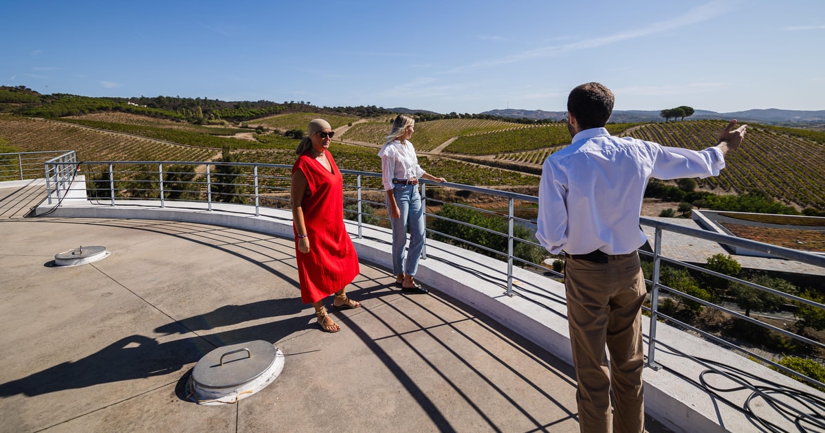 Quetzal Wine & Tapas | GetYourGuide