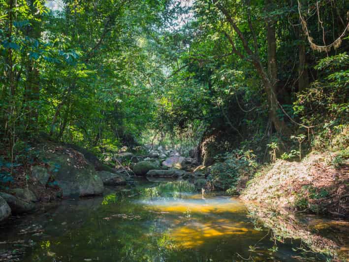Khlong Sok: Khao Sok Waterfalls and Wildlife Half-Day Trek | GetYourGuide