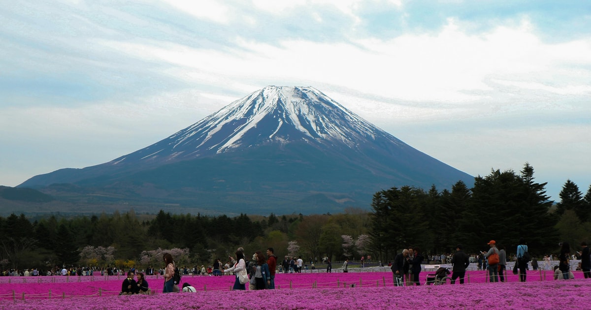 Tokyo: Privat Mount Fuji-tur med upphämtning och avlämning | GetYourGuide