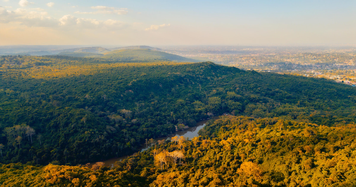 DAR ES SALAAM : PUGU NATURE FOREST RESERVE TOUR & HIKING | GetYourGuide