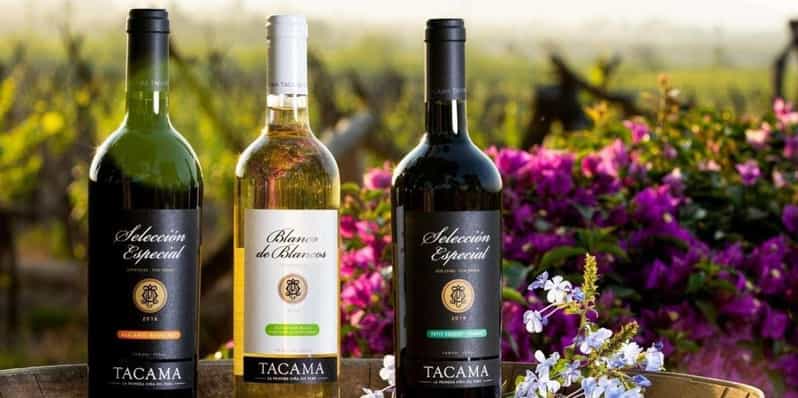 Visita a la bodega de Tacama + Degustación de vino y pisco | GetYourGuide
