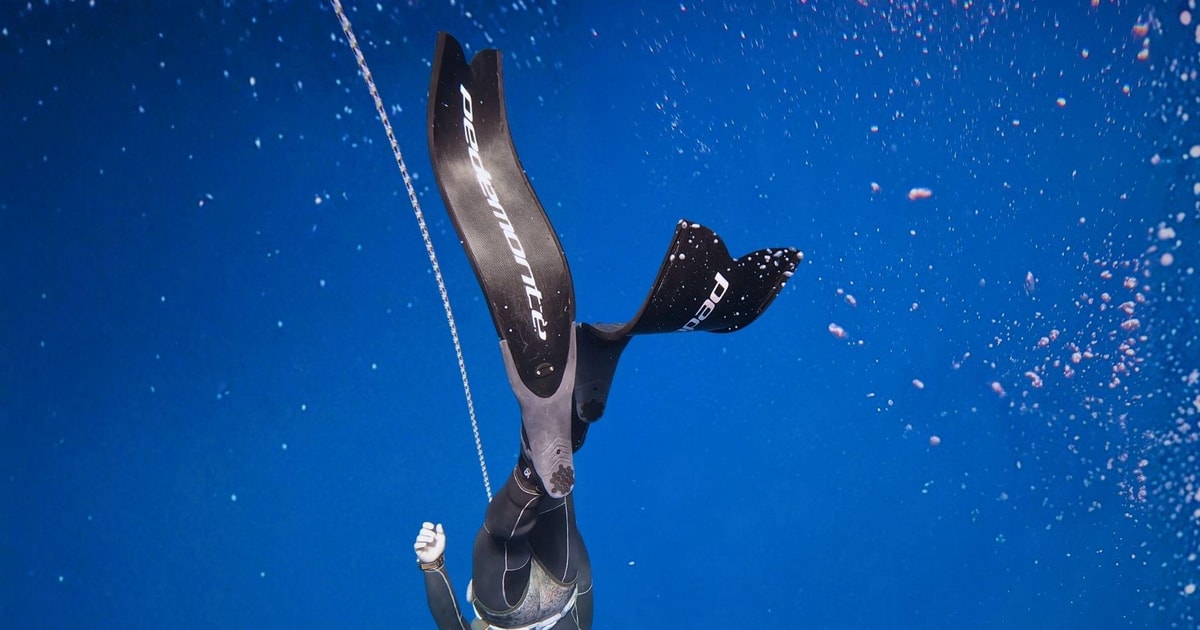 Alghero: Guided Apnea Dive in the Porto Conte Park | GetYourGuide
